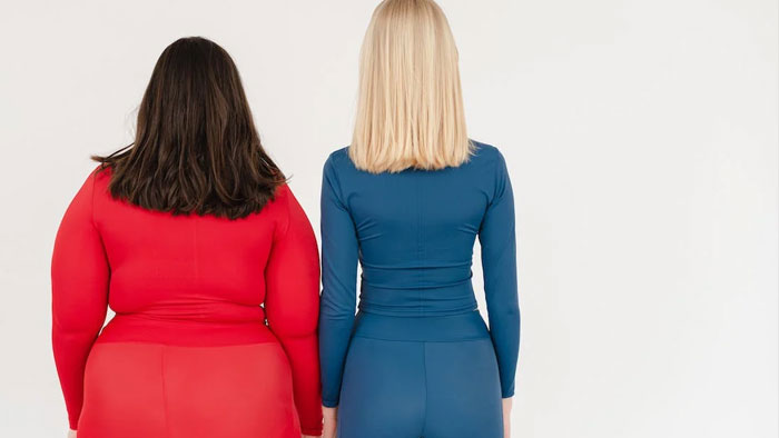 Kibbe Body Types Plus Size: how do they differ from non plus size?